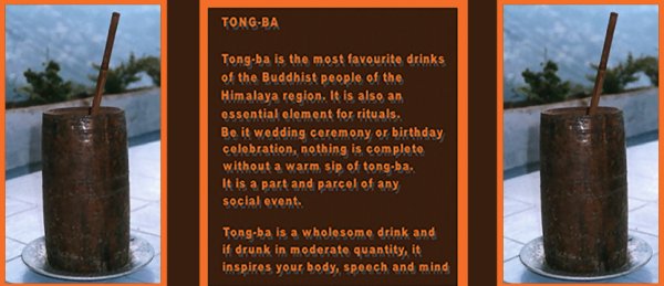 Reizen met Els & Toine naar Nepal